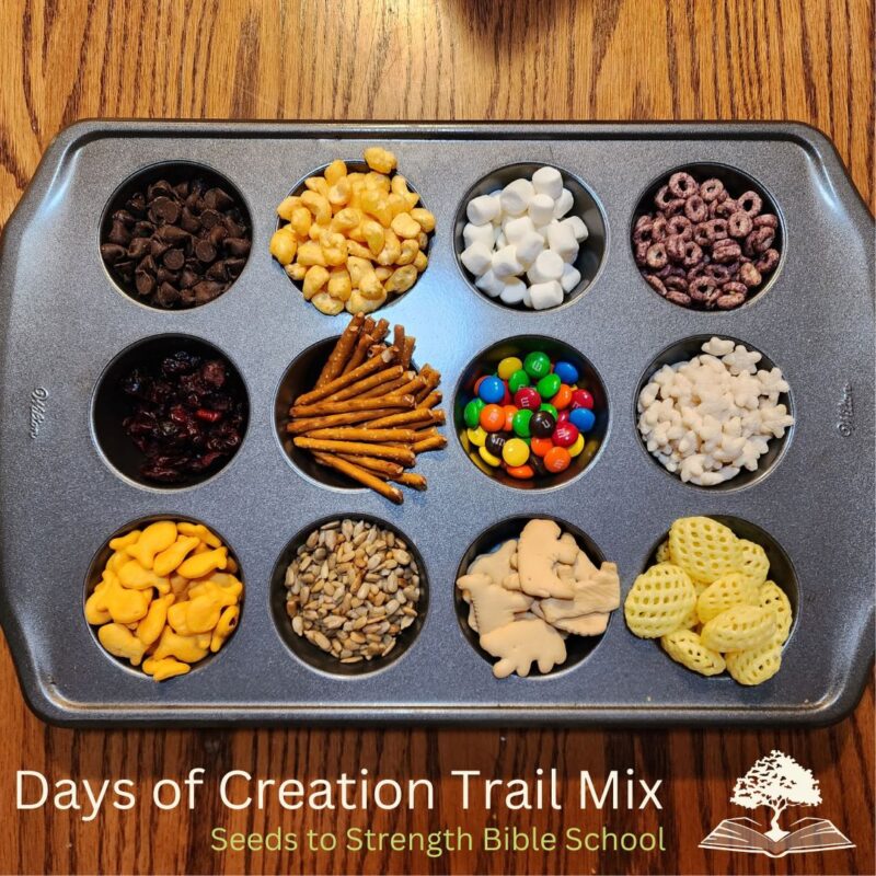 Creation Trail Mix - Seeds to Strength Bible School