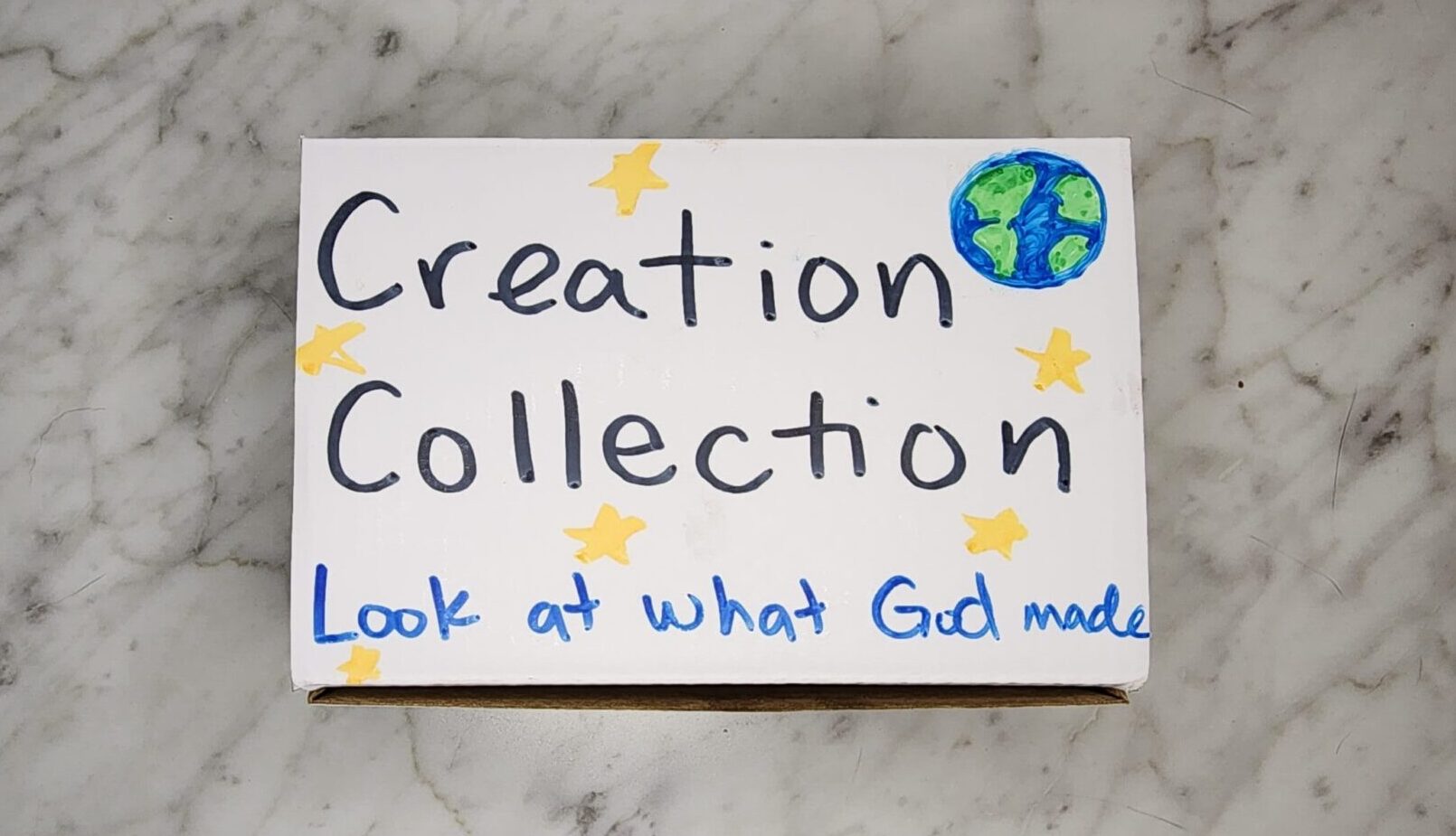 Creation Collection - Seeds to Strength Bible School